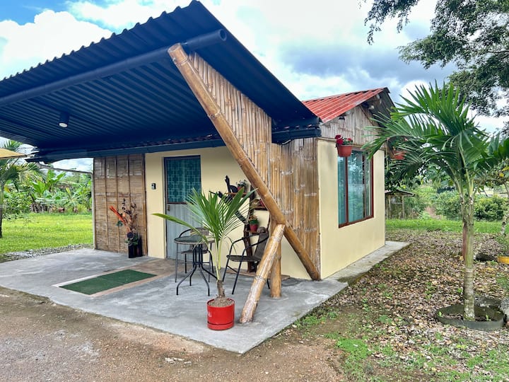 Ecocabaña Privada | Cacao Artesanal Y Naturaleza - Pedro Vicente Maldonado