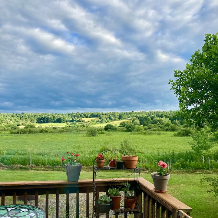 Peaceful Nature Retreat • 5 Min To Lake & Town - Chautauqua, NY