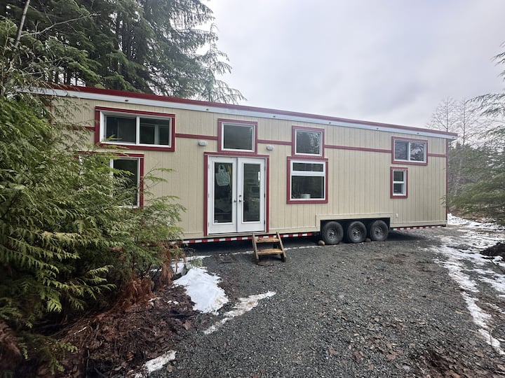 The Fancy Free Airbnb - Terrace