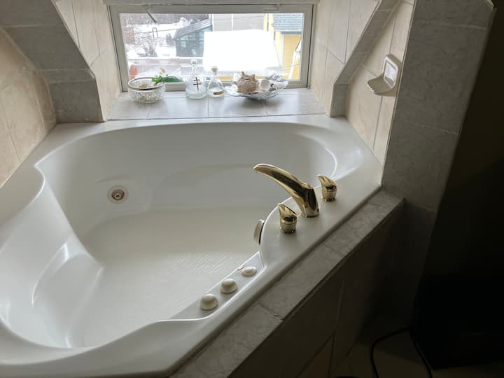 Honeymoon Suite W Jacuzzi - Saint Paul, MN