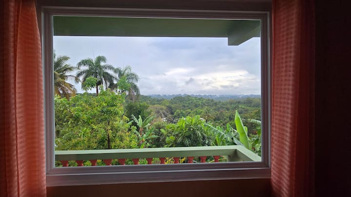 Island Breeze - Lares