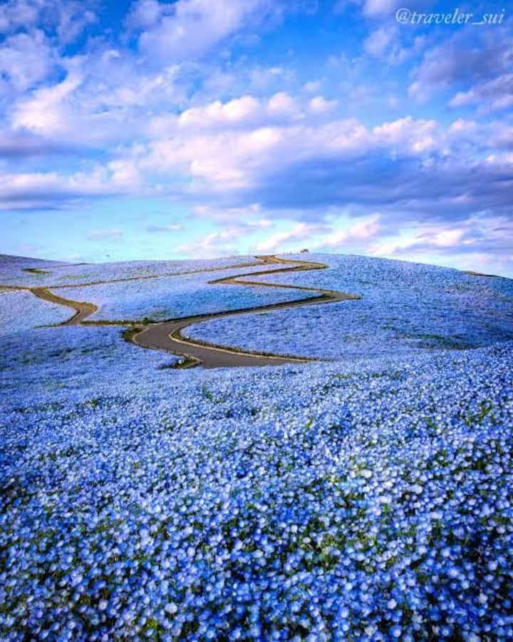 ネモフィラ観光に/14名ok｜寝室3｜ロフトあり｜各階キッチン・風呂｜海浜公園16分｜大洗20分｜ - Mito
