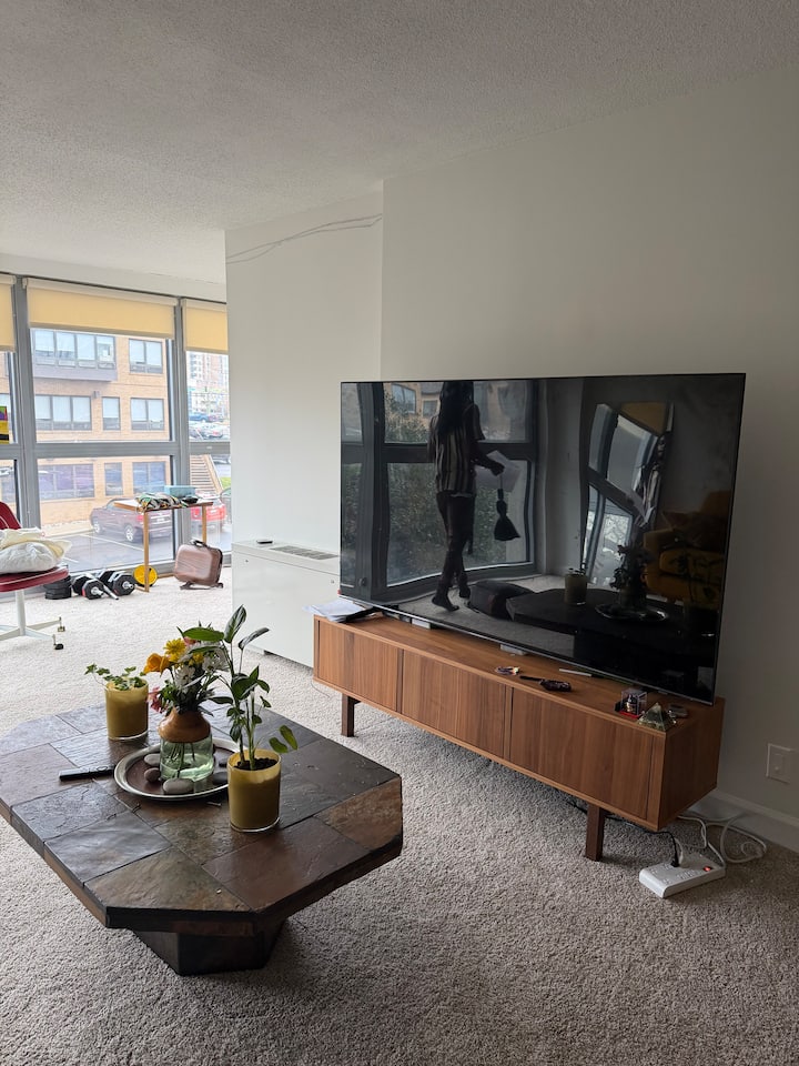 Luxury Apt Bethesda (Close To Dc & Rockville Dt) - Rockville, MD