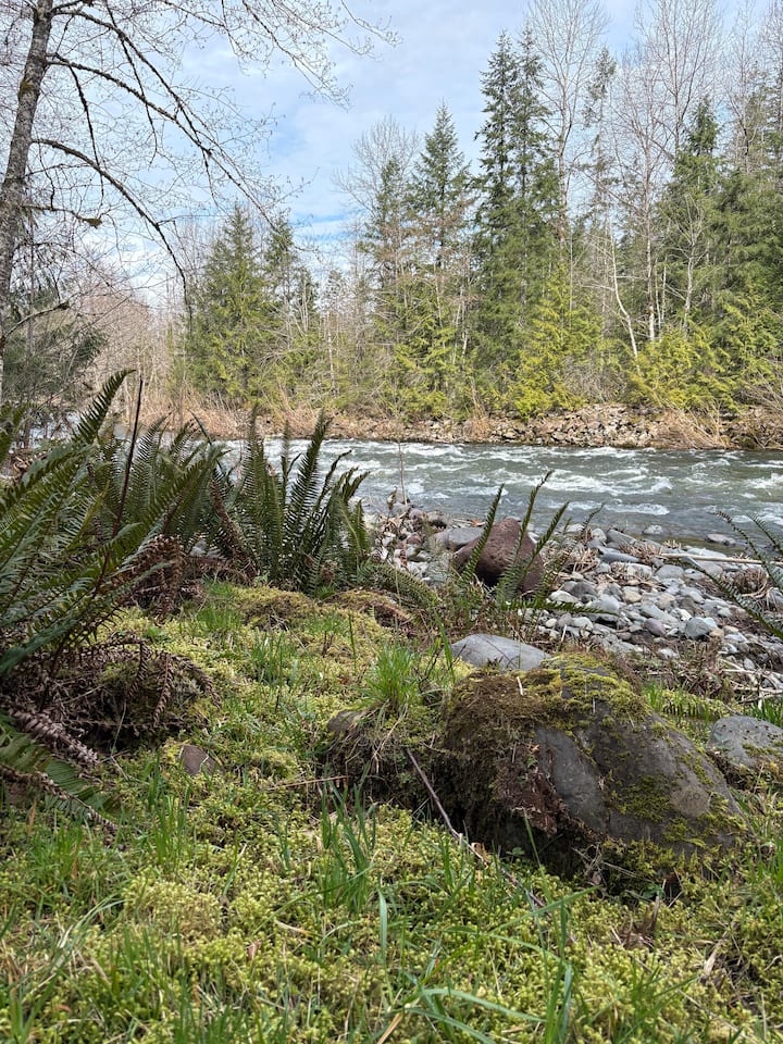 Salmon Riverfront Cabin - Rhododendron, OR
