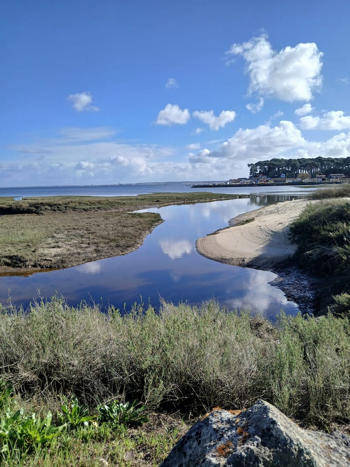 Mobil Home Cosy Avec Vue Sur Le Bassin Camping 4* - Lège-Cap-Ferret