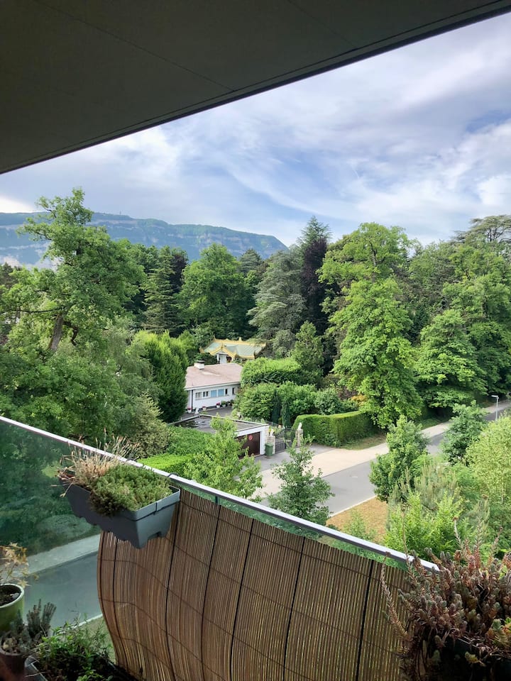 Beautiful Bright Apartment In Green Neighbourhood - Genève