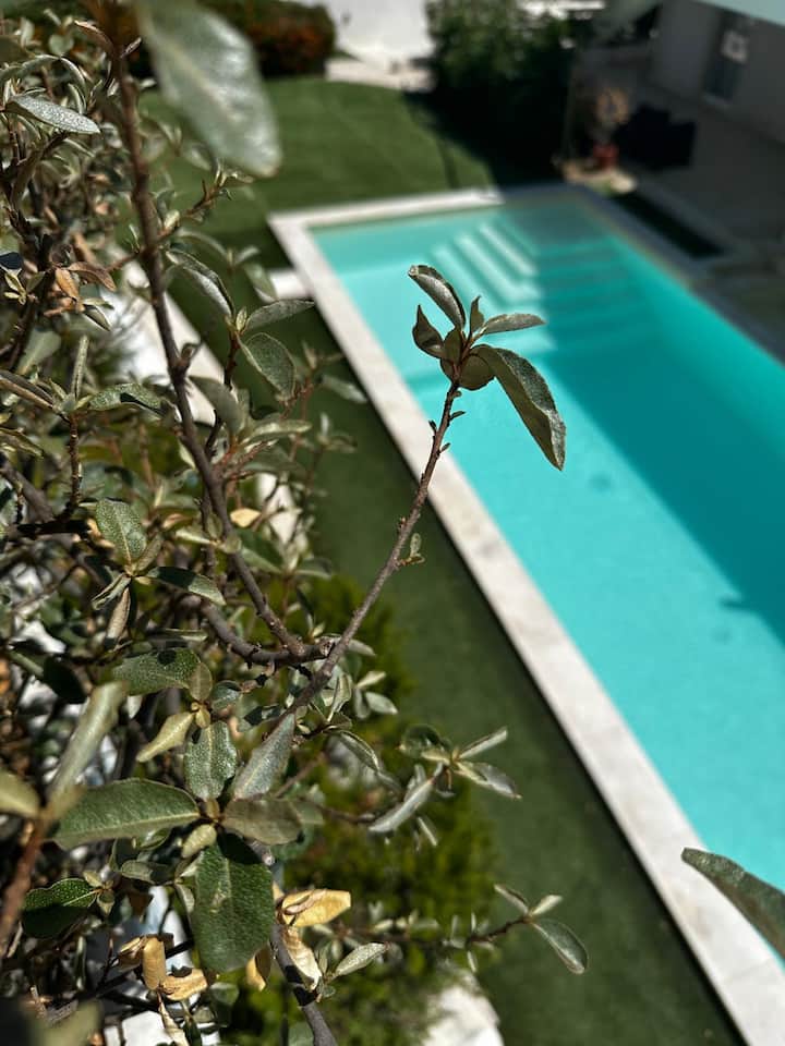 Apartment Wow Sea View! Pool And Private Parking - Golfo Aranci