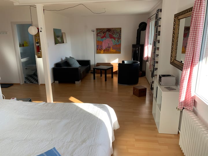 Airb&b B5 Im Naherholungsgebiet Der Stadt Bern - Berna