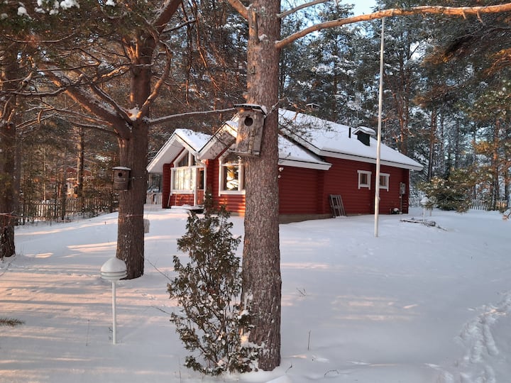 Villa Imposenniemi - Kemijärvi