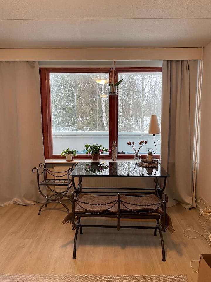 Kaunis Yksiö Järvinäkymin - Espoo