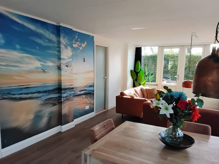 De Meeuw - Sint Maartenszee