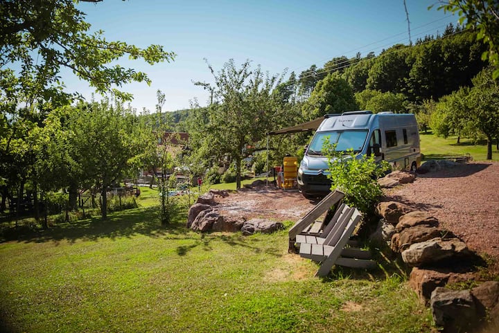 Camping-stellplatz-schwarzwald-rauszeit-camper - Schuttertal