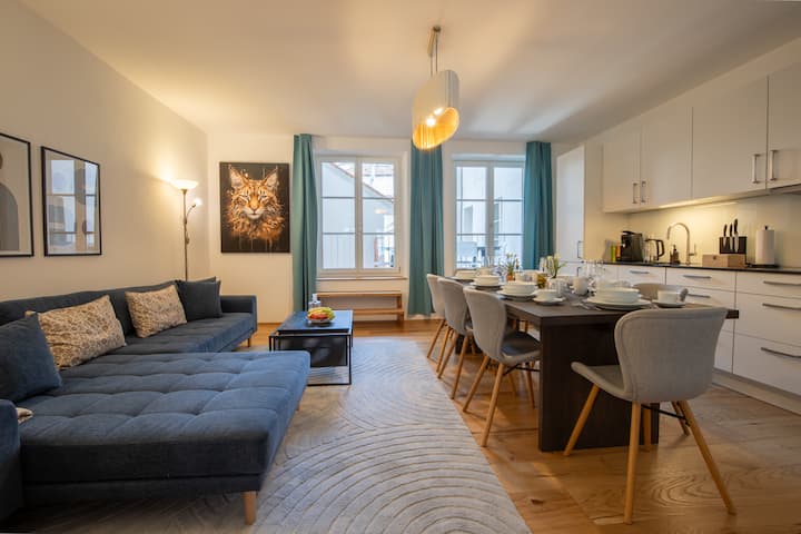 Special *Top Lux 14* Apartment @Top Location/rhein - Basel