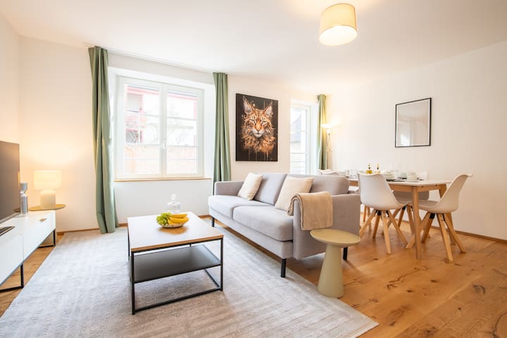 Special *Top Lux 12* Apartment @Top Location/rhein - Bâle