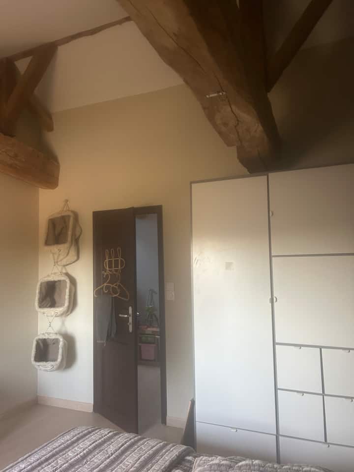 3 Chambres En Maison - Belleville, France