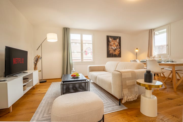 Special *Top Lux 32* Apartment @Top Location/rhein - Basel