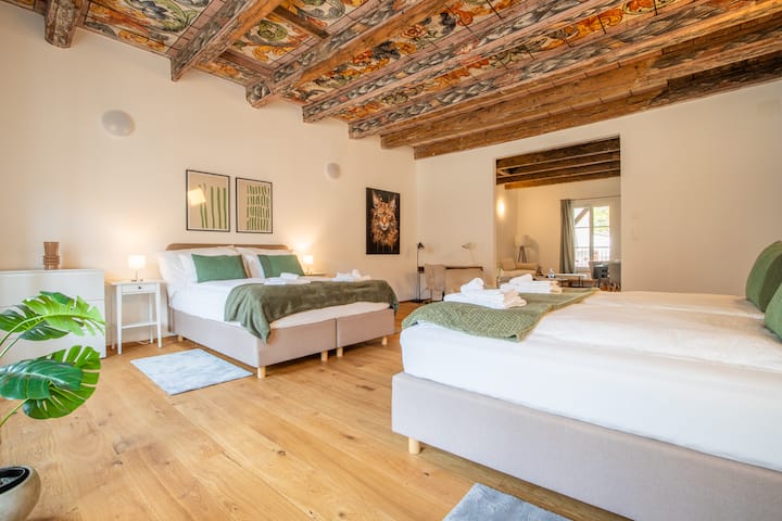 Special *Top Lux 24* Apartment @Top Location/rhein - Basel