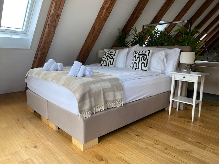 Special *Top Lux 42* Apartment @Top Location/rhein - Basel