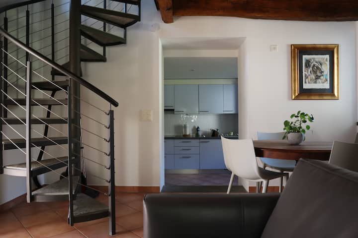 Casa Giacomina |Storico Rustico, Petfriendly&river - Verzasca