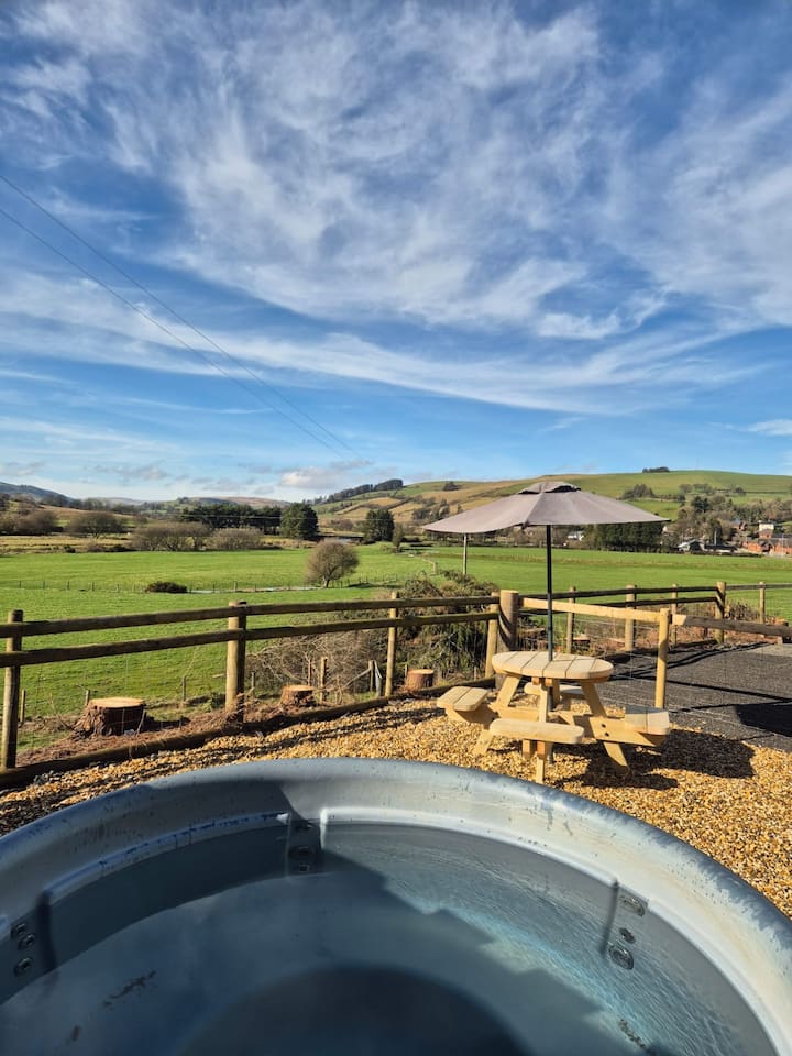 Honeysuckle - Llanidloes