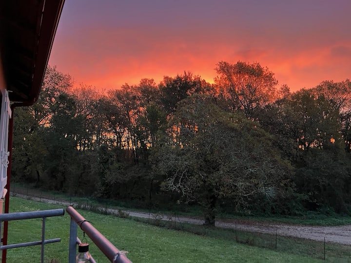 Appartement, 4 Couchages, Parc Arboré, Piscine. - Puy-l'Évêque