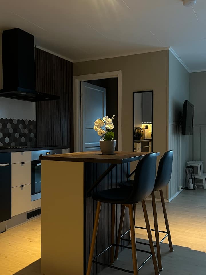 Lys 2-mannsleilighet Ved Flyplass, Buss & Butikk. - Alta