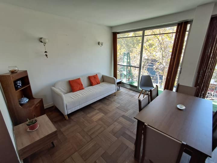 Hermoso, Central Y Amplio Departamento Duplex - Providencia