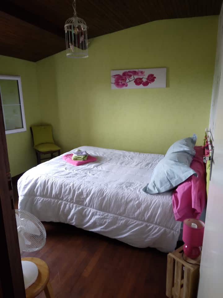 La Chambre " Le Rose Et Le Vert" - Marciac