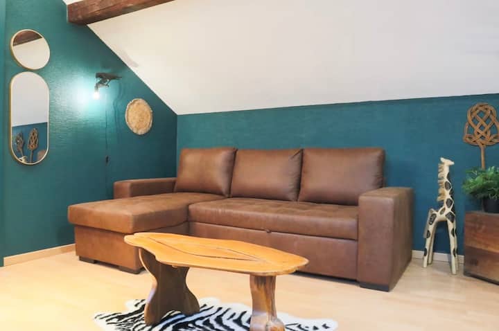 Cocon Jungle – Maisonnette Cosy Avec Cour/parking - Mulhouse