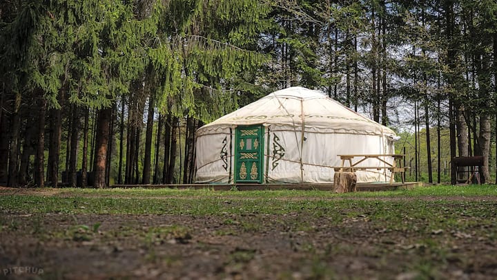 Thyme Yurt - Farnham