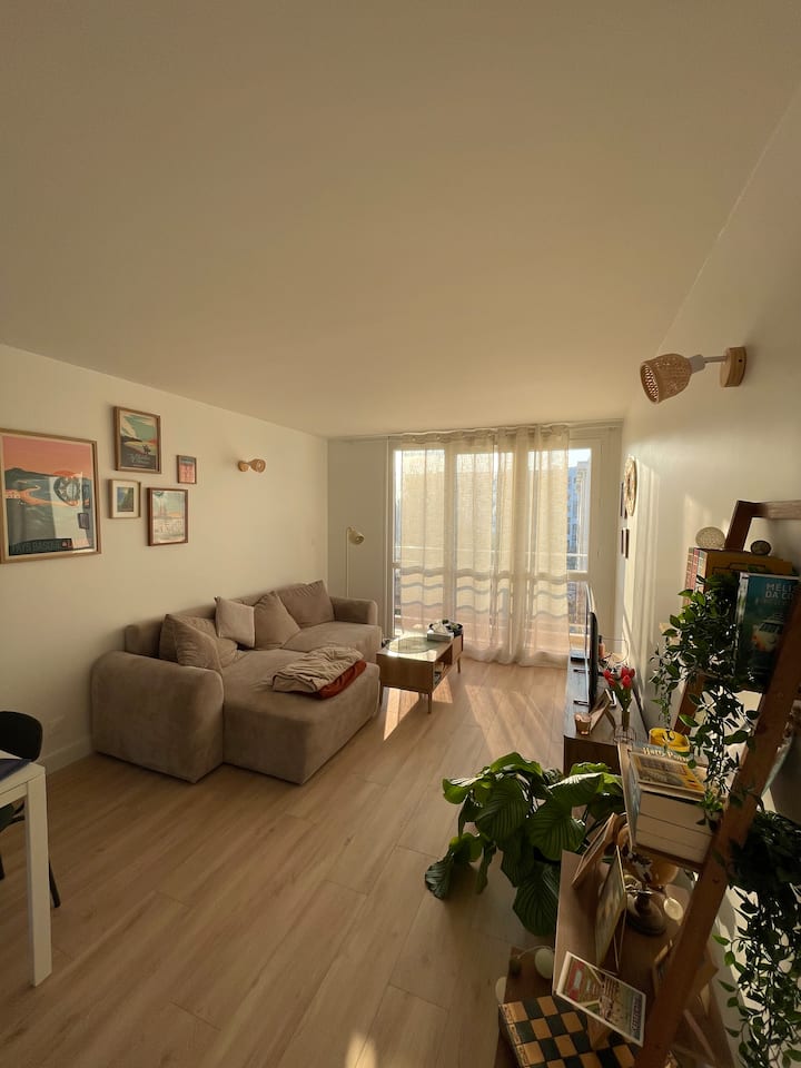 Appartement 1 Chambre - ibis Paris Orly Rungis