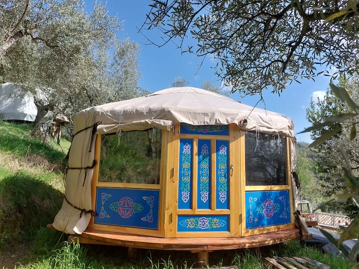 Private Rural Slow Living | 4 Yurts In Olive Grove - Monte Livata
