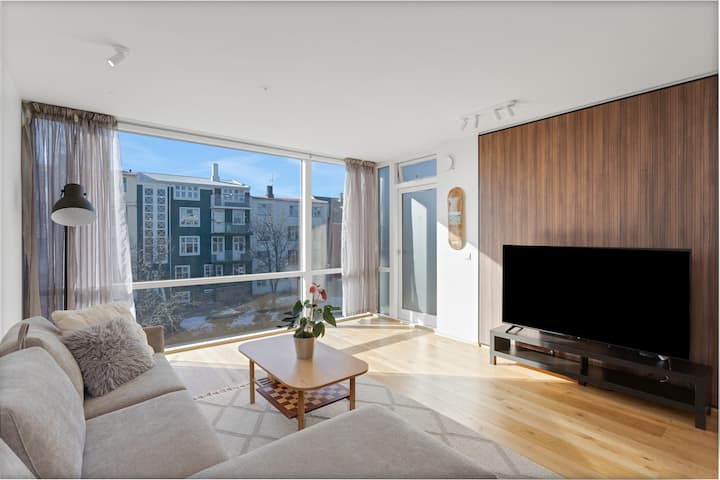 Spacious 1br Apartment On Laugavegur - Reykjavík