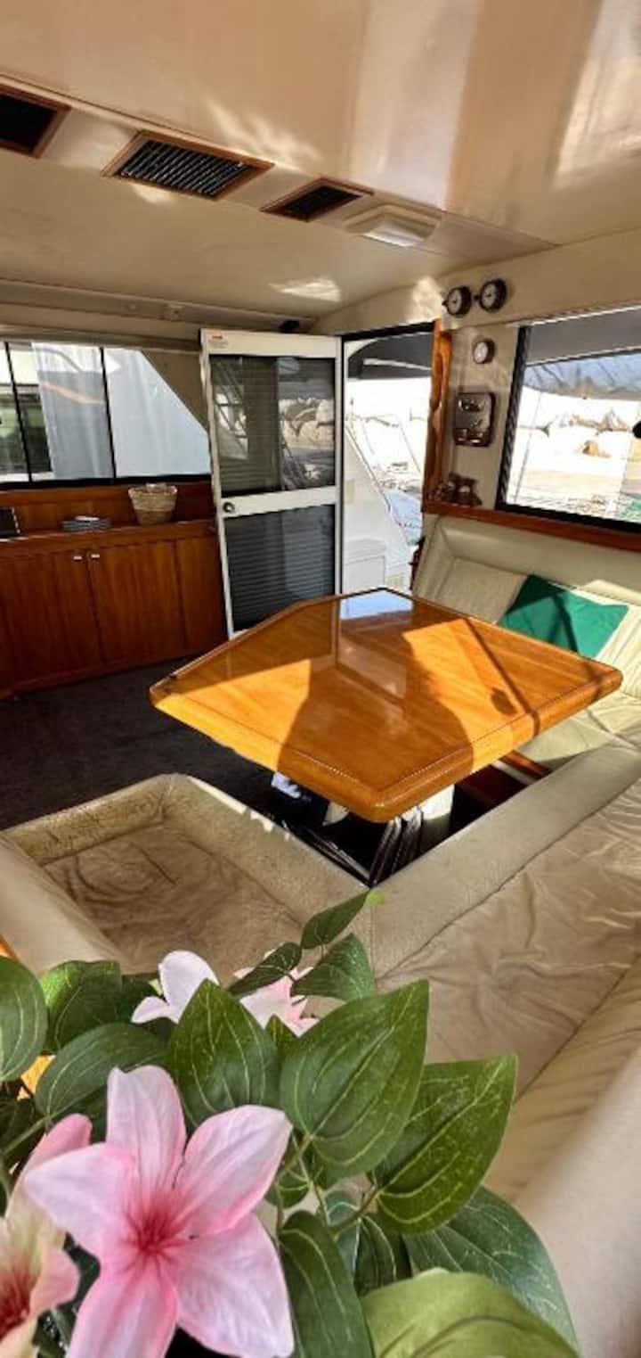 Bateau Vedette 14 Mètres - Plage d'Olmeto