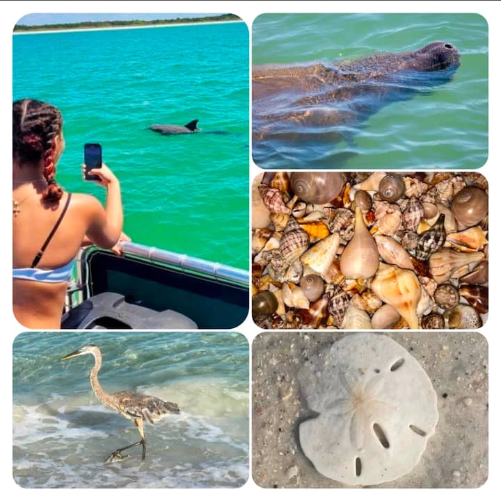 #61 Escape #2 -Treasure Island Joyful Moments - Treasure Island, FL