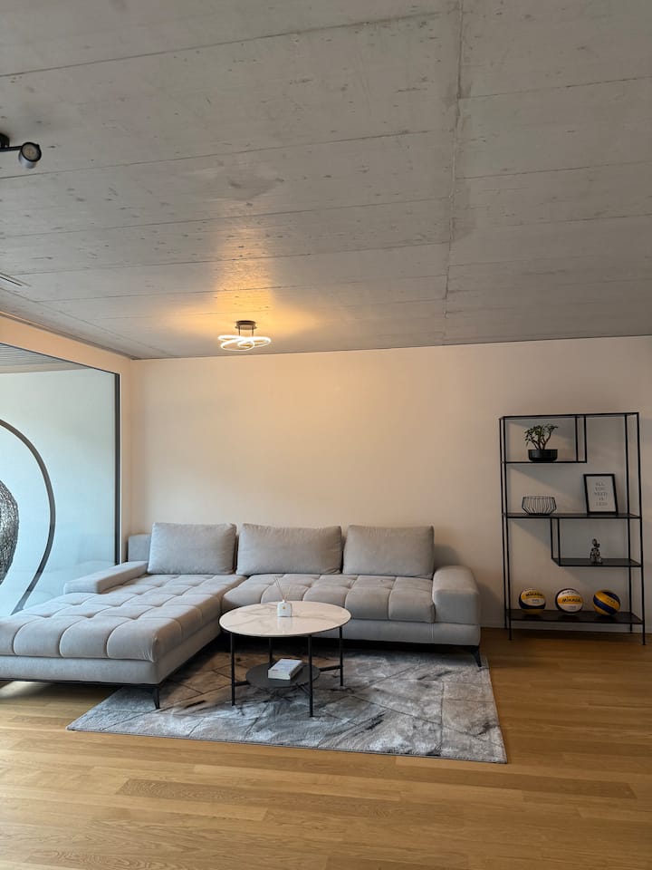 Charmante 2.5-zimmer Wohnung In Luzern - Lucerne