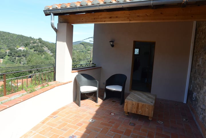 Gîte Du Phénix De Can Viçens - Céret