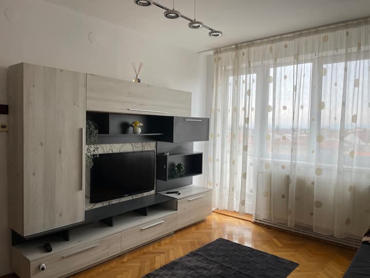 îNchiriez Apartament Cu 2 Camere Etaj 4 Central - Județul Satu Mare