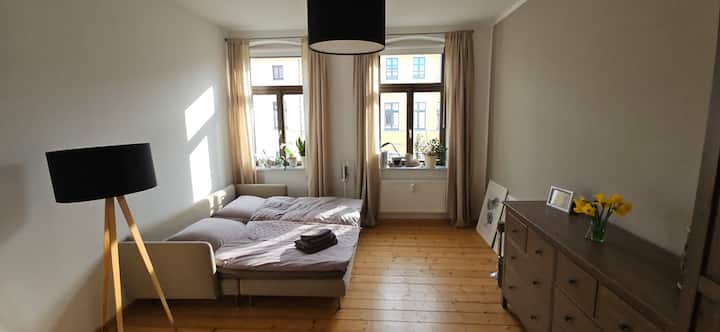 Zimmer In Charmanter Zentraler Altbauwohnung - Halle (Saale)