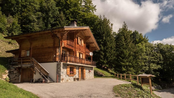 Le Flocon Des Aravis 1 - La Giettaz