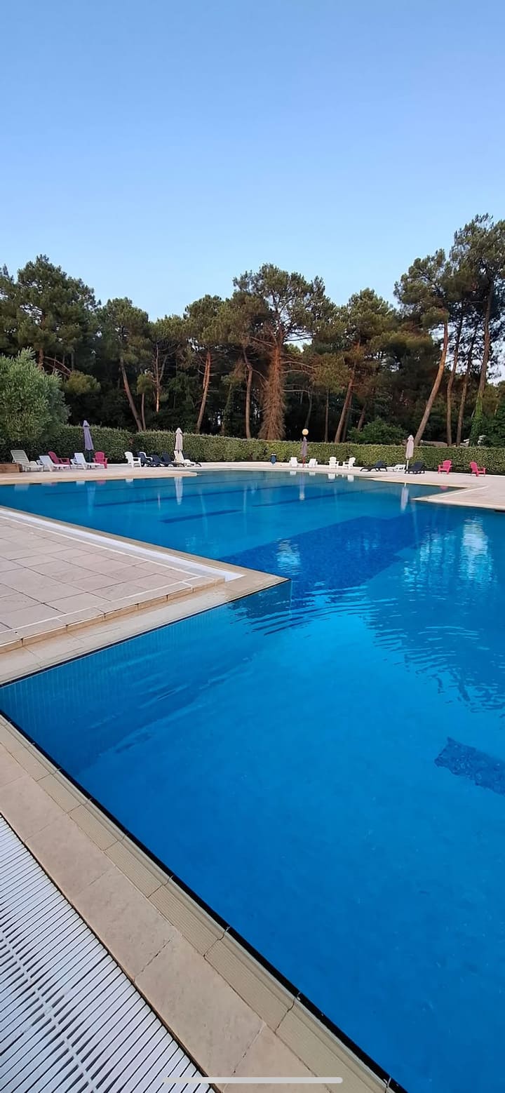 Chalet Avec Piscine Au Cœur Du Bassin Darcachon - Arcachon