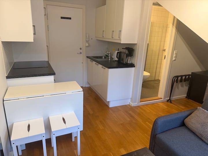 Pen Og Koselig Leilighet Med Alkove - Sentralt - Oslo