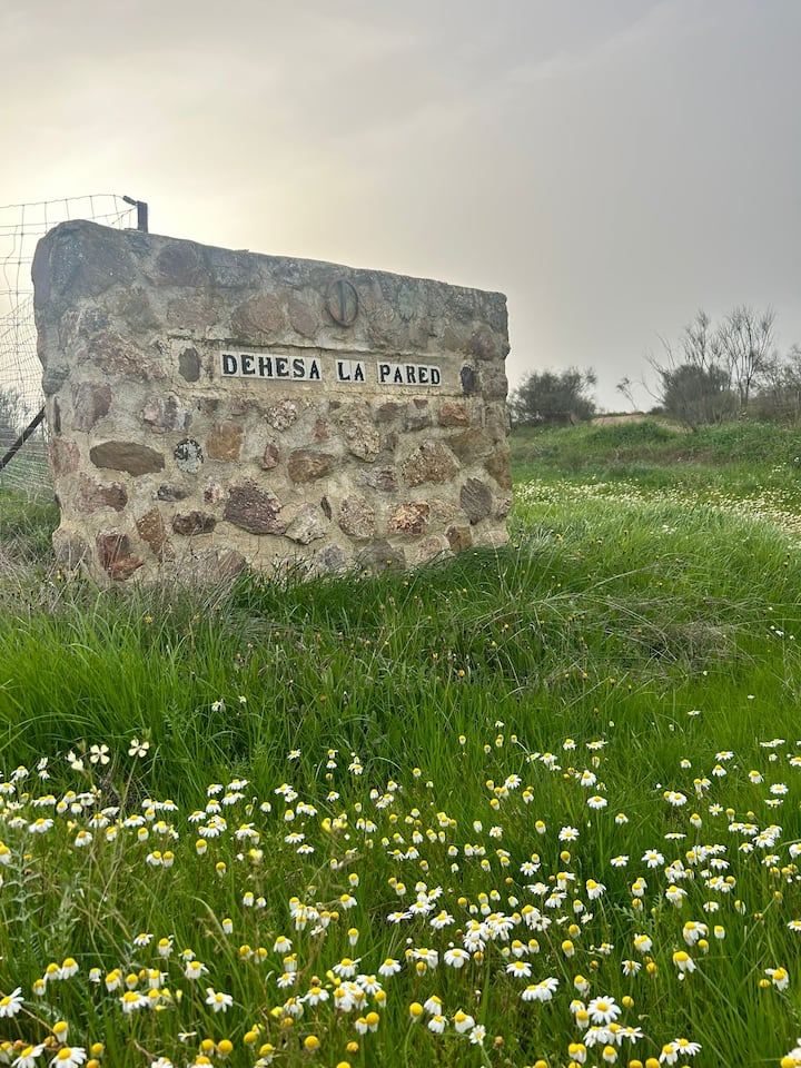 La Casita Agroturismo Dehesa La Pared - Almadén