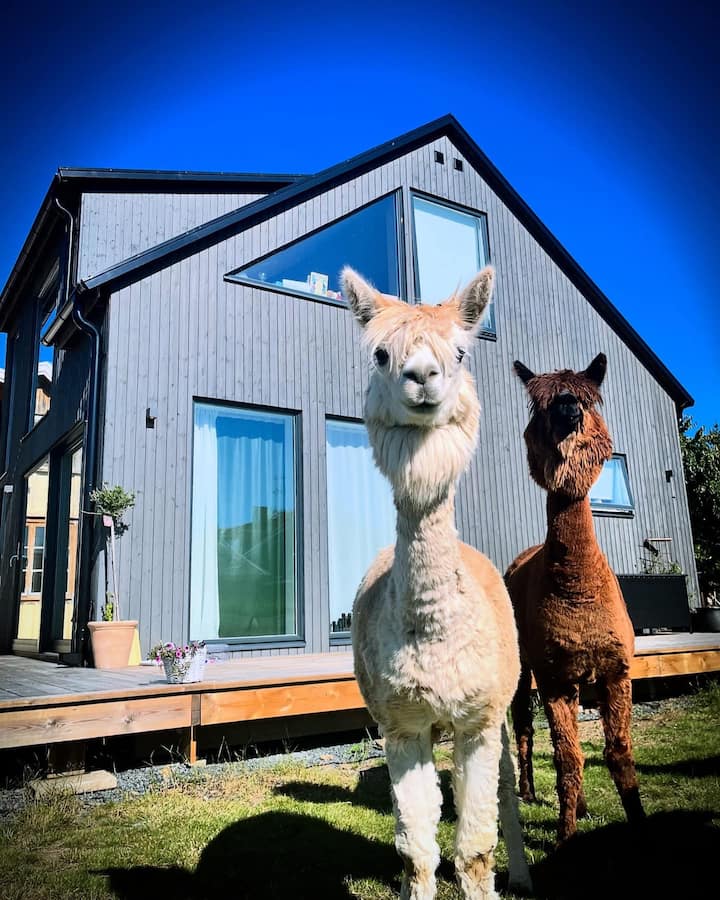 Oasis On Visingsö. Newly Built: Unique Small Farm! - Gränna