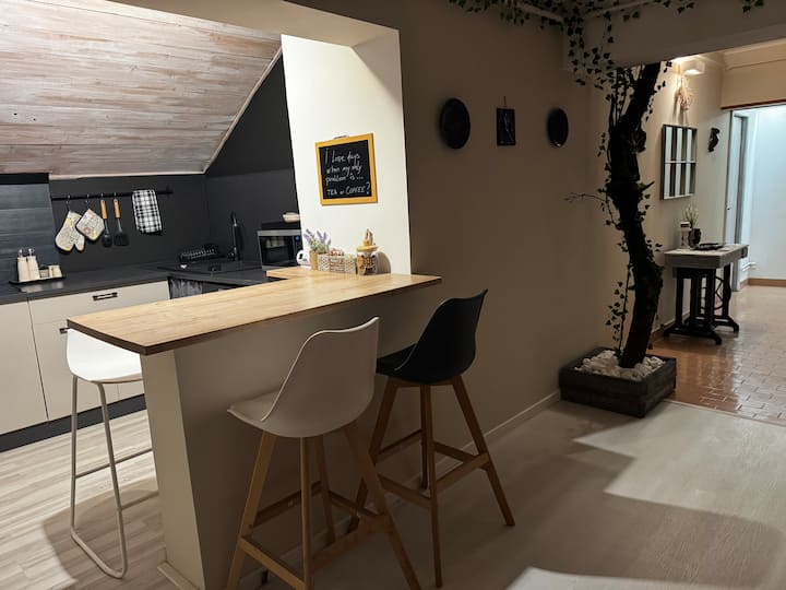 Bucovina Views Nature Touch Ultracentral Apartment - Botoşani