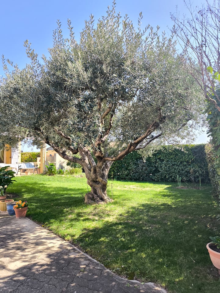 Jolie Maison Aux Portes De Montpellier - Castelnau-le-Lez