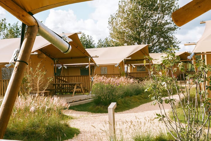 Sahara Stay - Saharatent 4 Personen - Hook of Holland