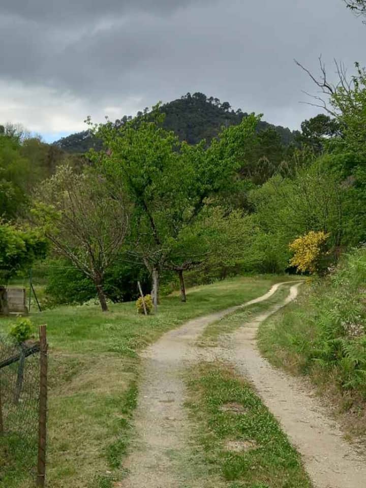 Gîte Cévenol En Pleine Nature - Saint-Jean-du-Gard