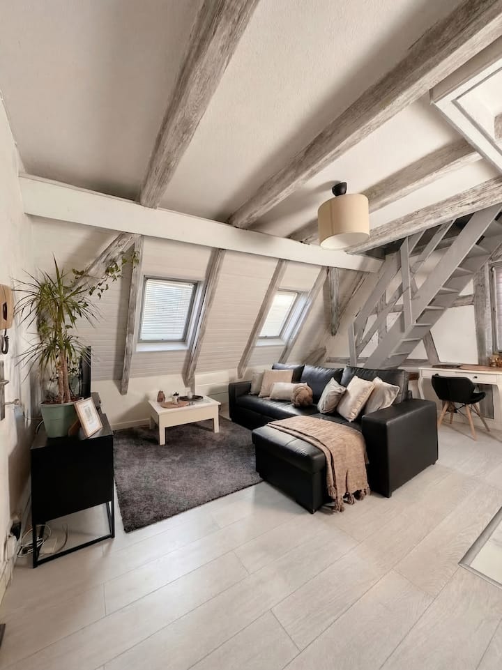 Lécrin Sous Les Toits - Charme & Lumière - Strasbourg