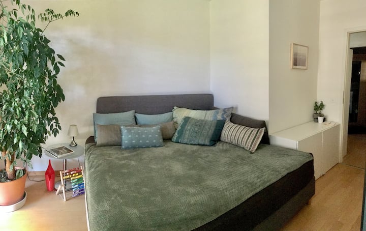 Room In Prangins, 15 Minute Walk To Nyon - Nyon